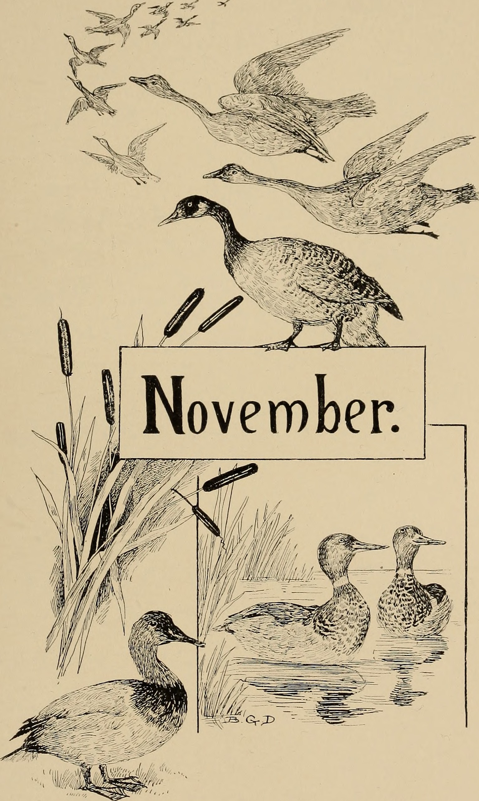 Illustration in “Through the Year with Birds and Poets (Poems),” 1900 ...