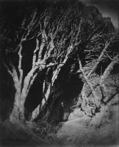 “Elegre,” Anne Brigman, 1923 | Eric Robert Nolan, Author